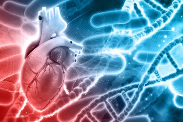 What Are The types Of Heart Pain And What Should Be Done 